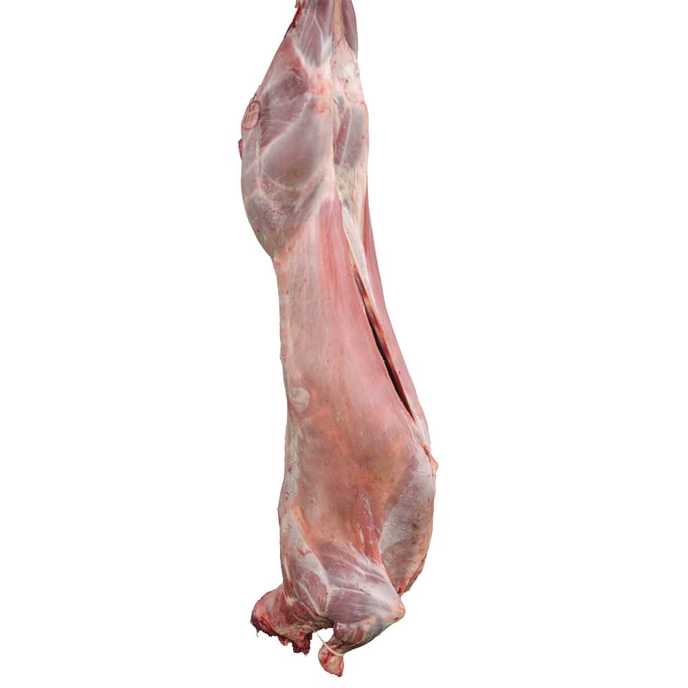 Fresh Halal Whole Lamb - Premium UK Sourced | 17kg – Spice Village ...